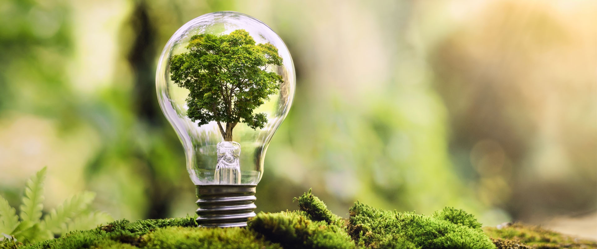 Renewable Energy Facilities: Design and Construction | IDRO GROUP S.R.L.